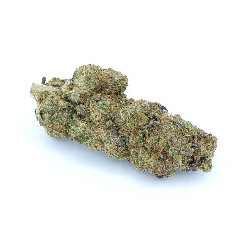 SMOKE & SATIVA - 100% FREE Weed Delivery London Ontario